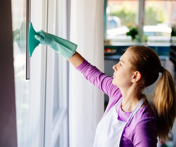 Window Cleaning - West Auckland - NexDo